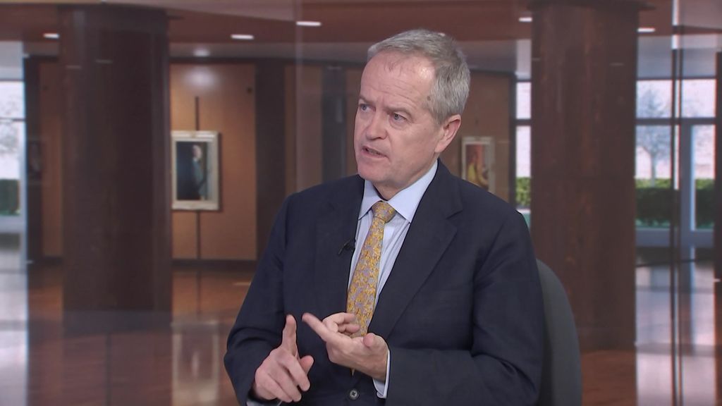 NDIS Minister Bill Shorten on NDIS reforms - ABC News
