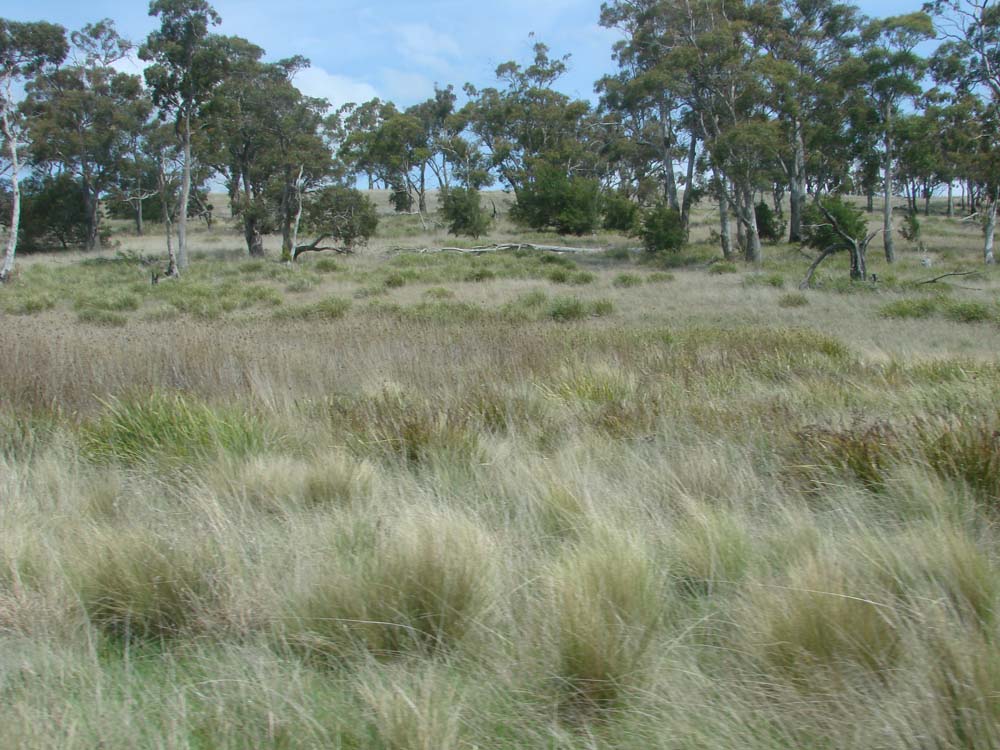 NSW panel will review environmental laws, with chairman Neil Byron ...