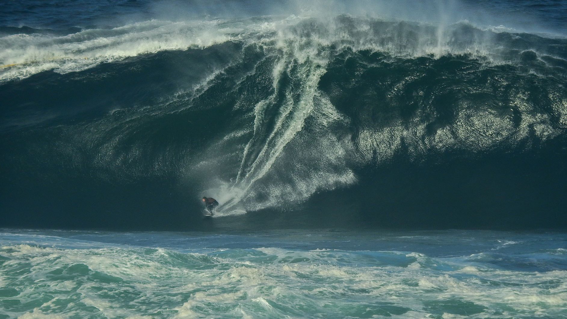 Surfing - Topic - ABC News