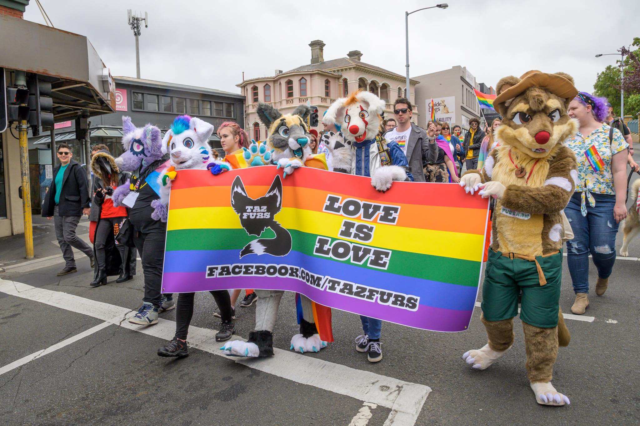 What's a furry, and why do they do it? - ABC Hobart