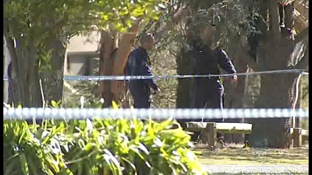 Woman accused of murder makes bail - ABC News