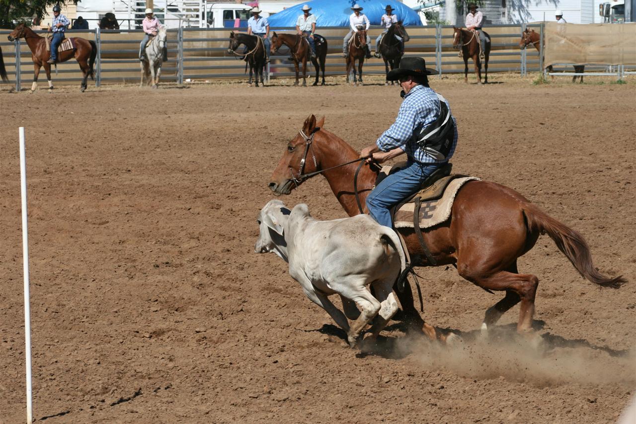 Mic wired to the saddle - ABC News