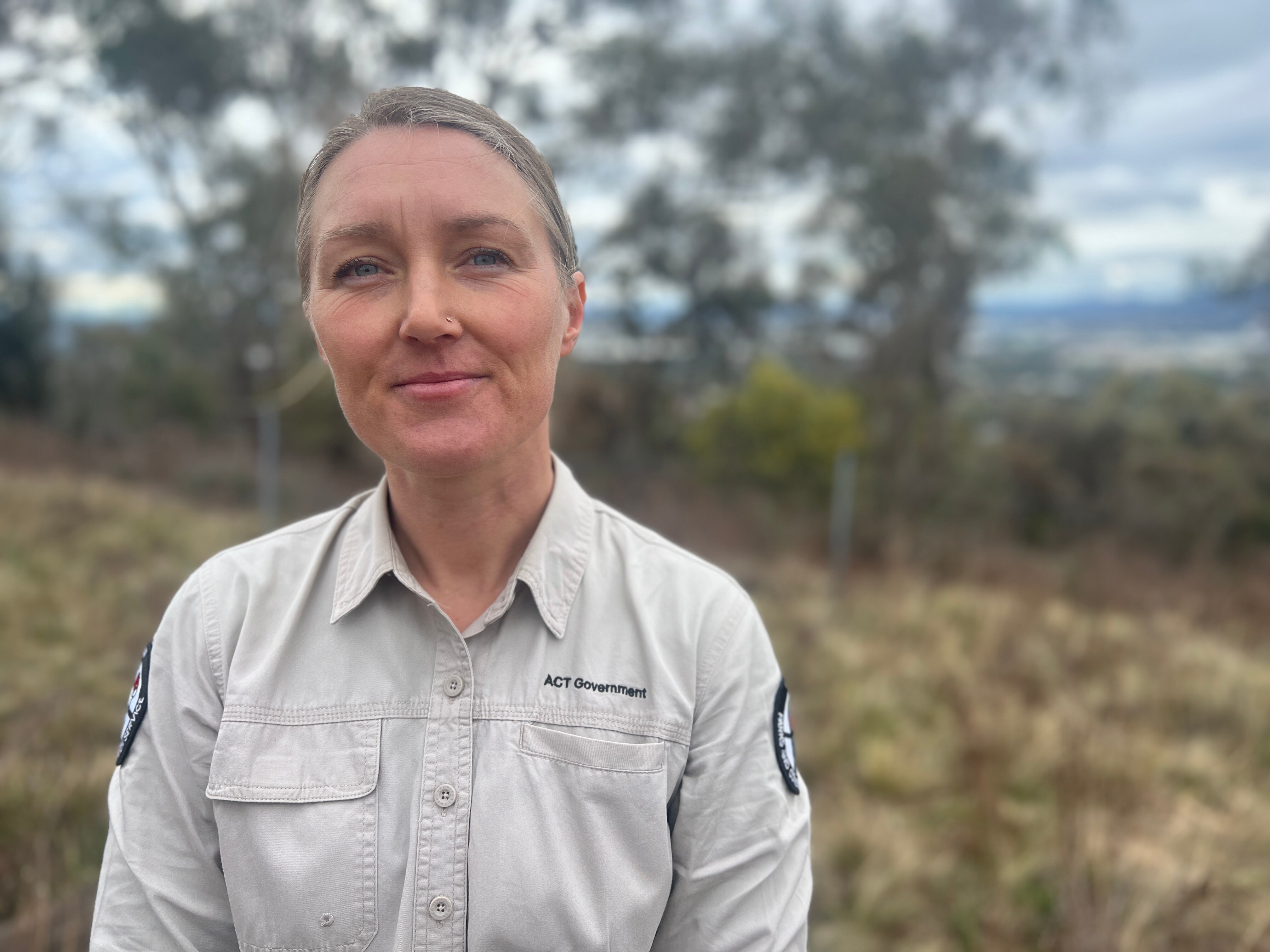 The dos and don'ts if you hit a kangaroo in the ACT - ABC News