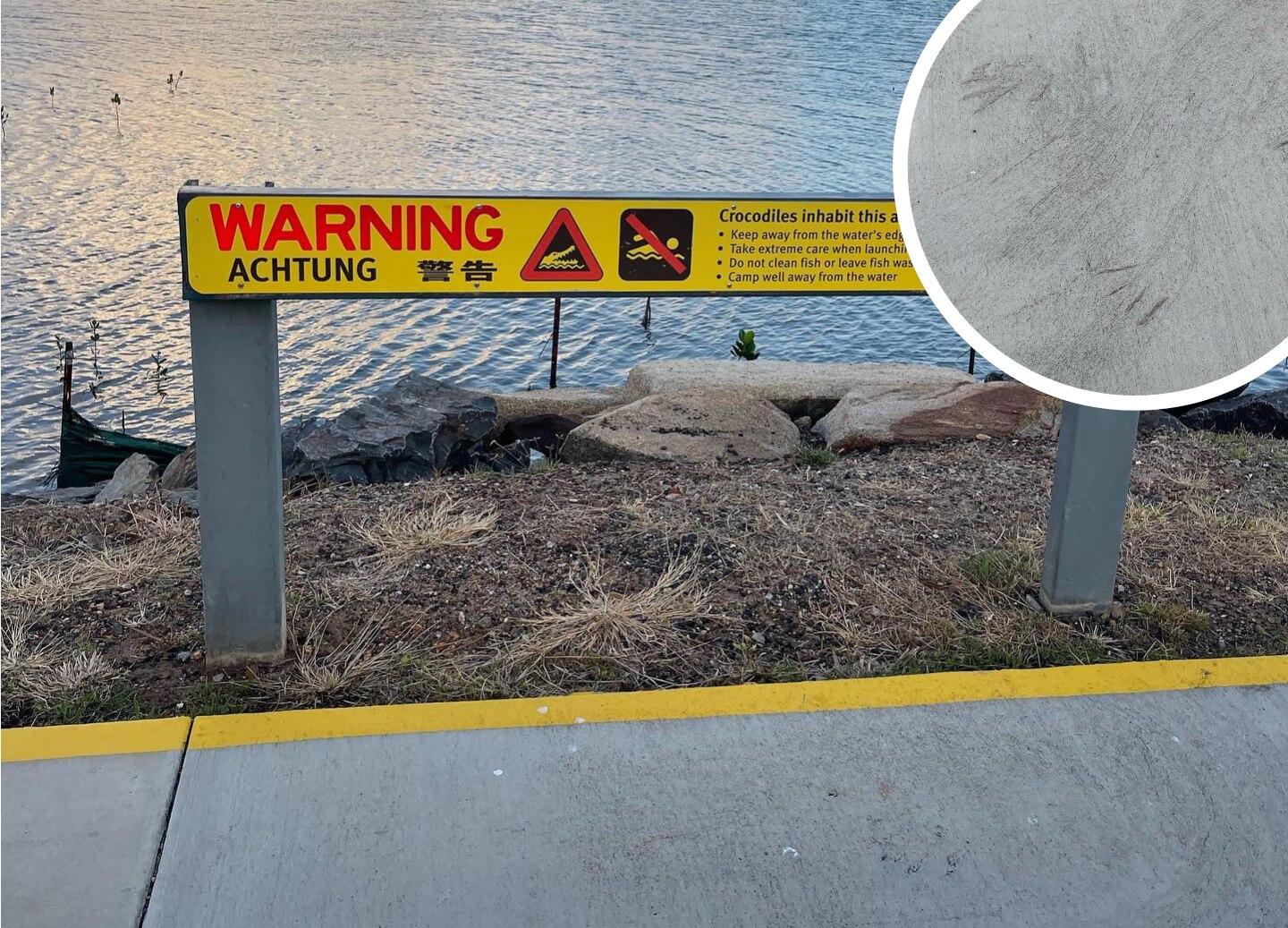 Crocodile graffiti: Cooktown's bizarre cement footpath slide - ABC listen