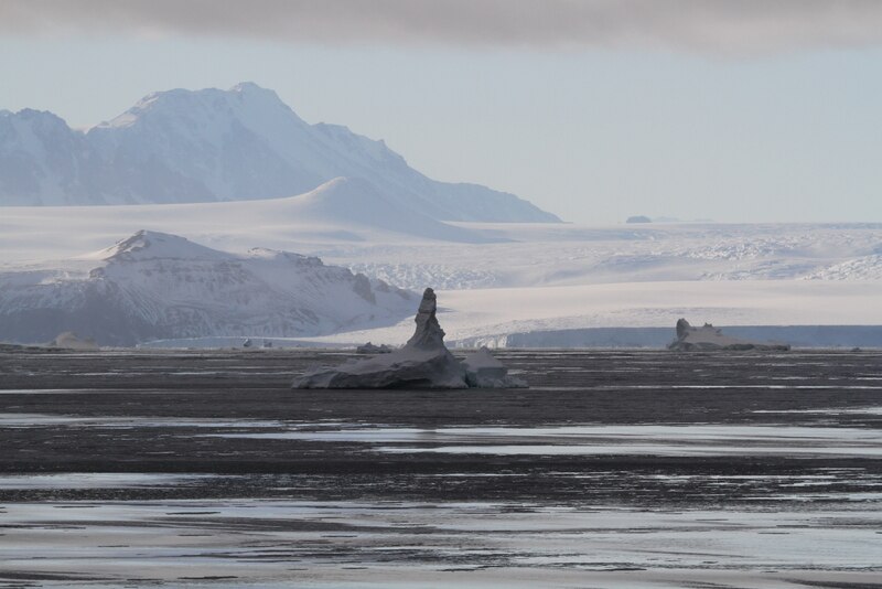 Endangered Antarctic blue whales and their amazing hums - ABC listen