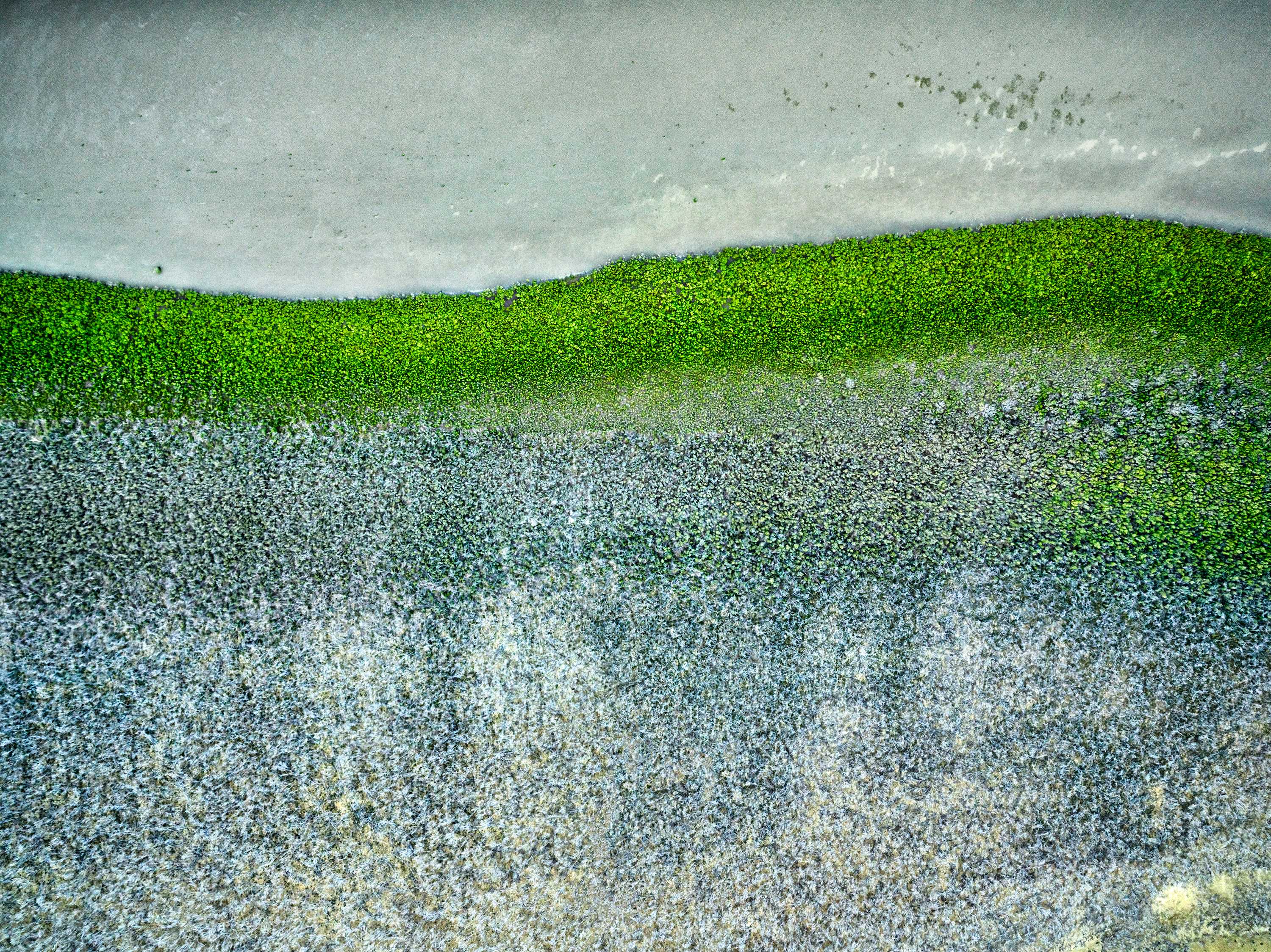 Limmen Bight photographic art depicts remote NT marine park's scars and ...