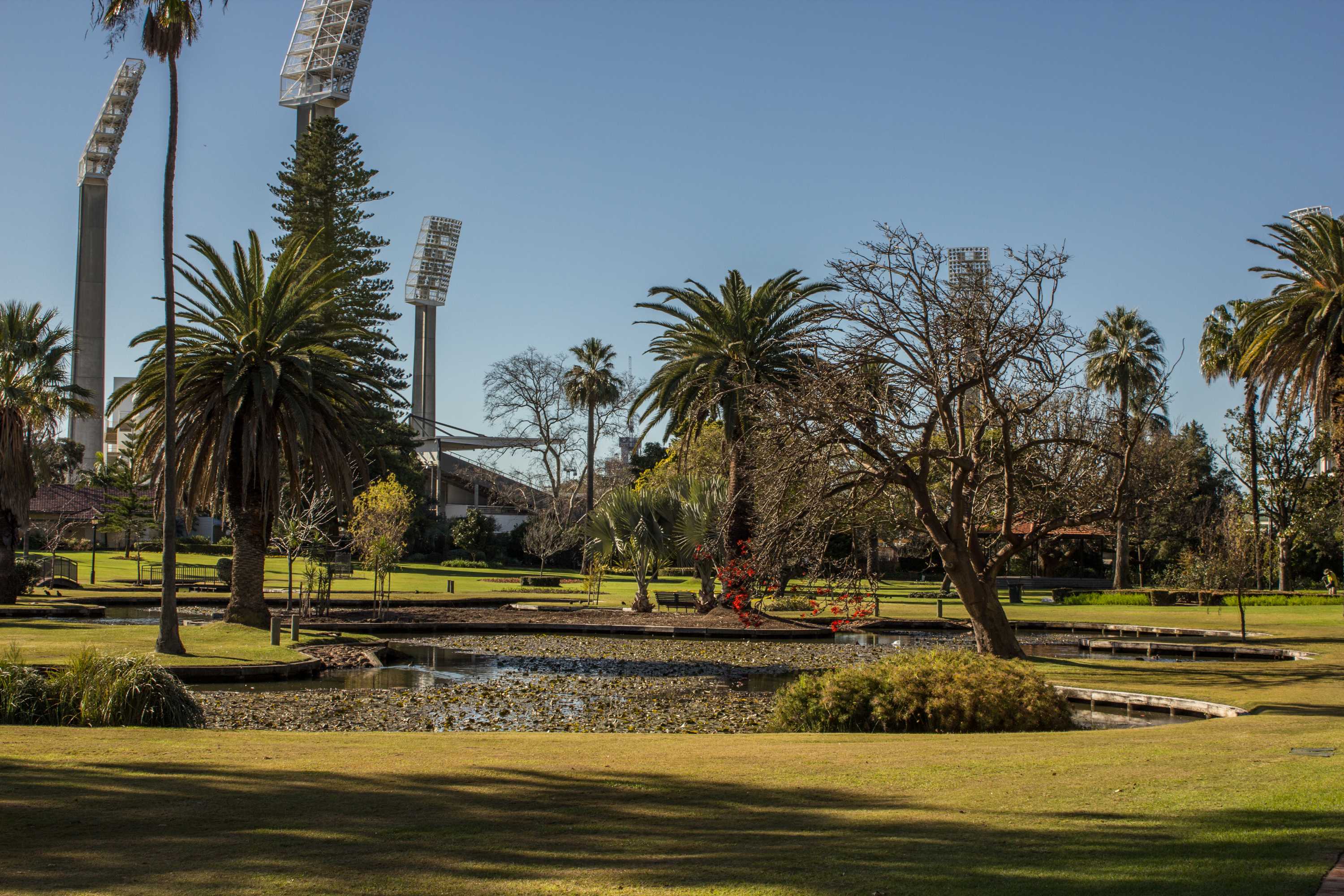 The secrets of Perth's city gardens unlocked by veteran gardener - ABC News