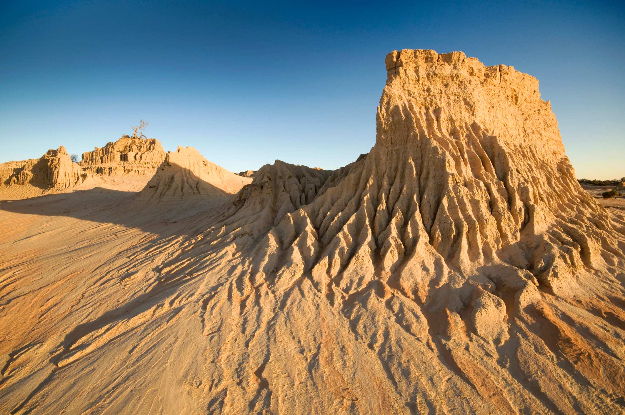 Ceremony held for the return of Mungo Man - ABC listen