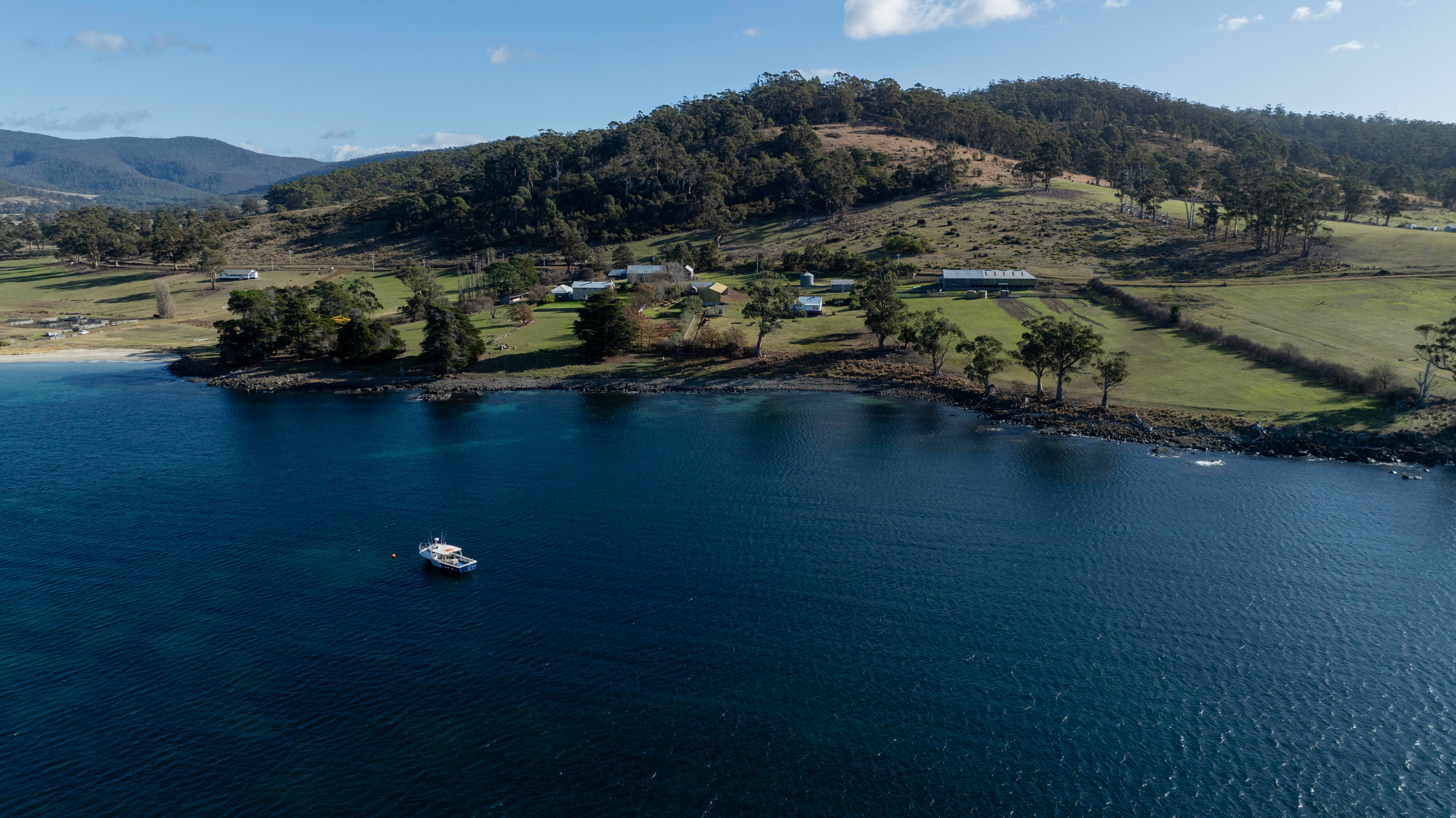 Rheban farm on Tasmania's east coast changes hands as locals lead rural ...
