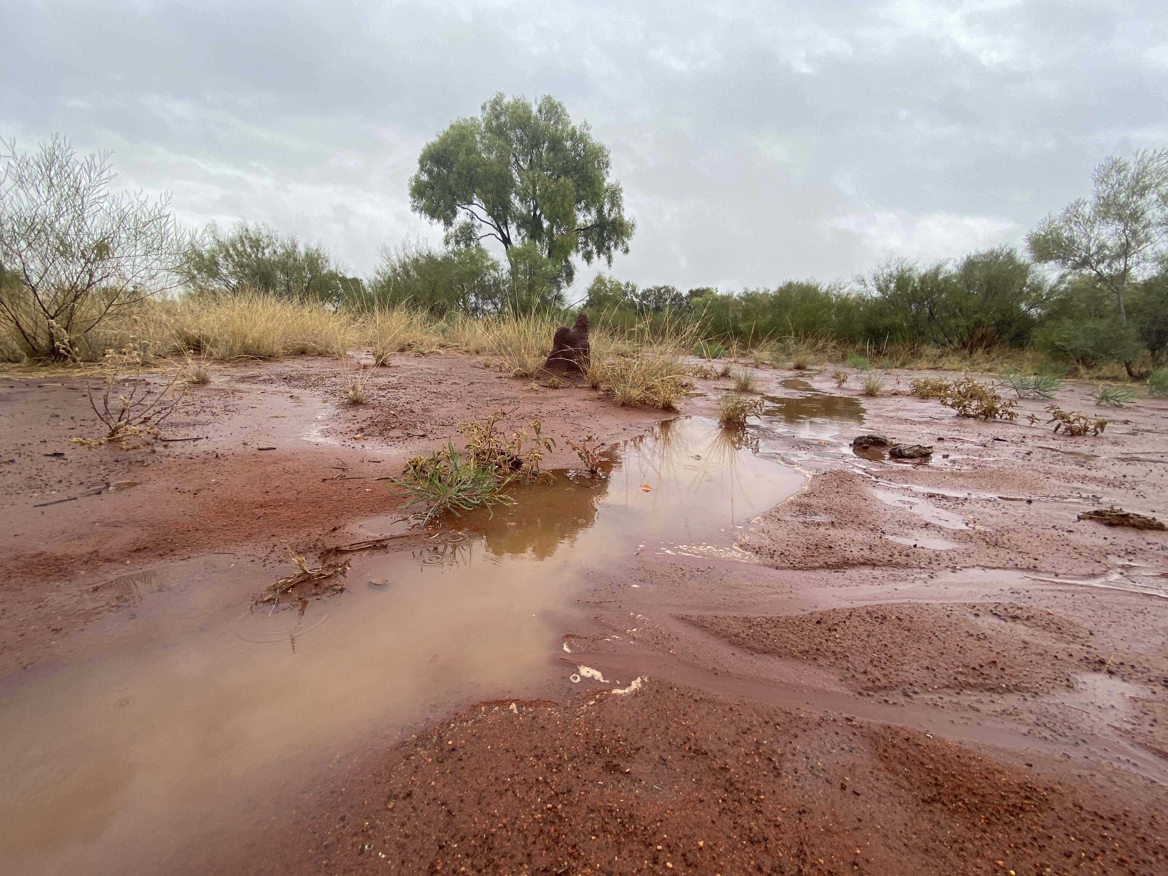 Rain records tumble in outback Australia as September soaking moves ...