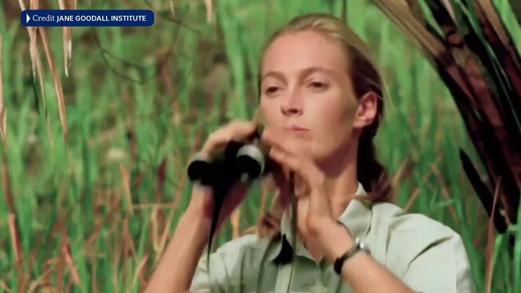 Was the Calabrian mafia linked to the murder of a Melbourne fruiterer ...