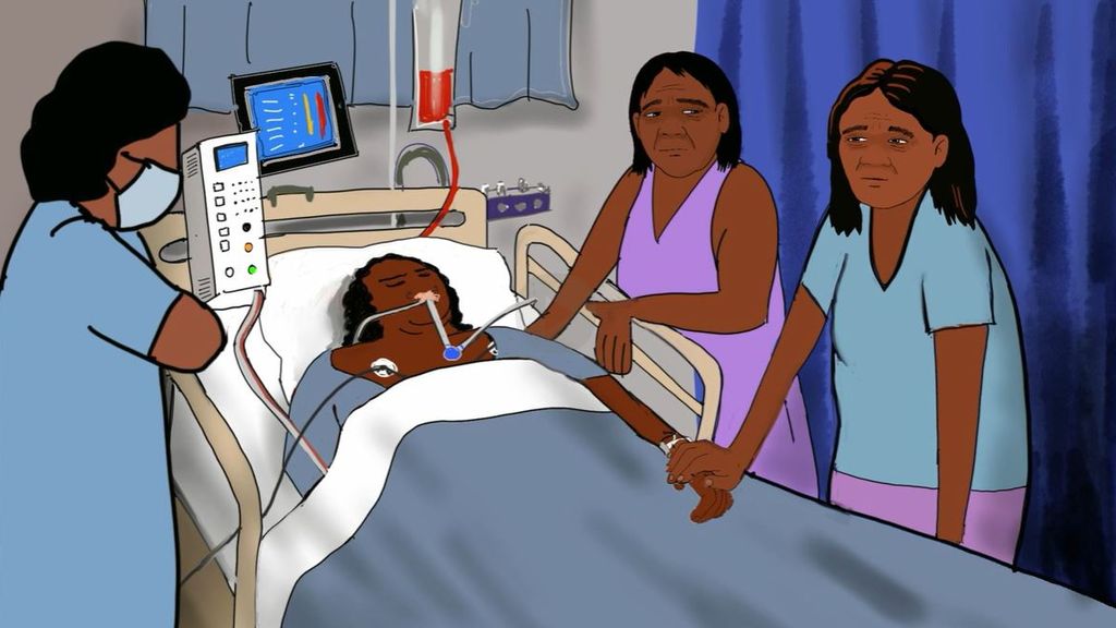 Alice Springs Aboriginal health workers develop animations around organ ...