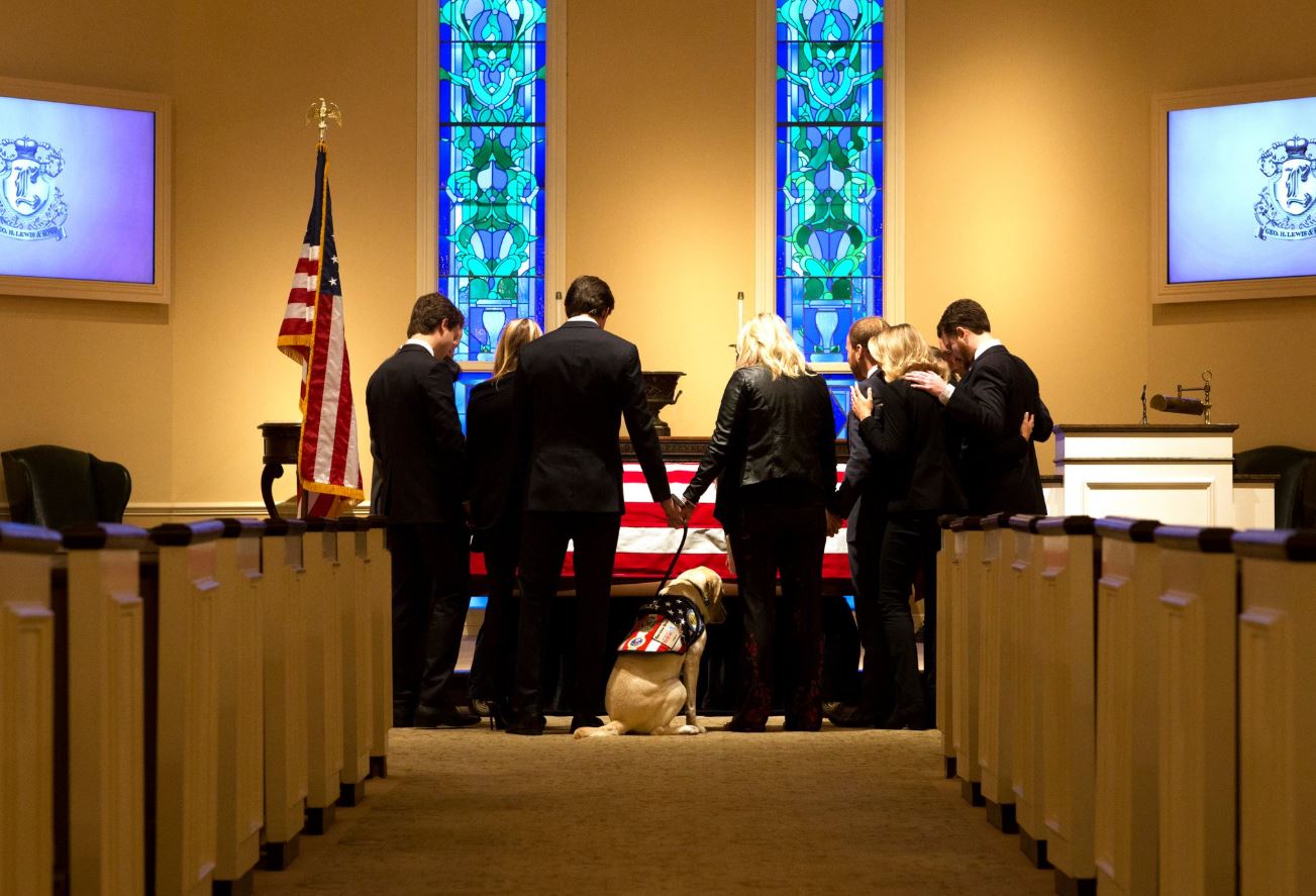 George HW Bush's service dog Sully will travel with his late owner ...