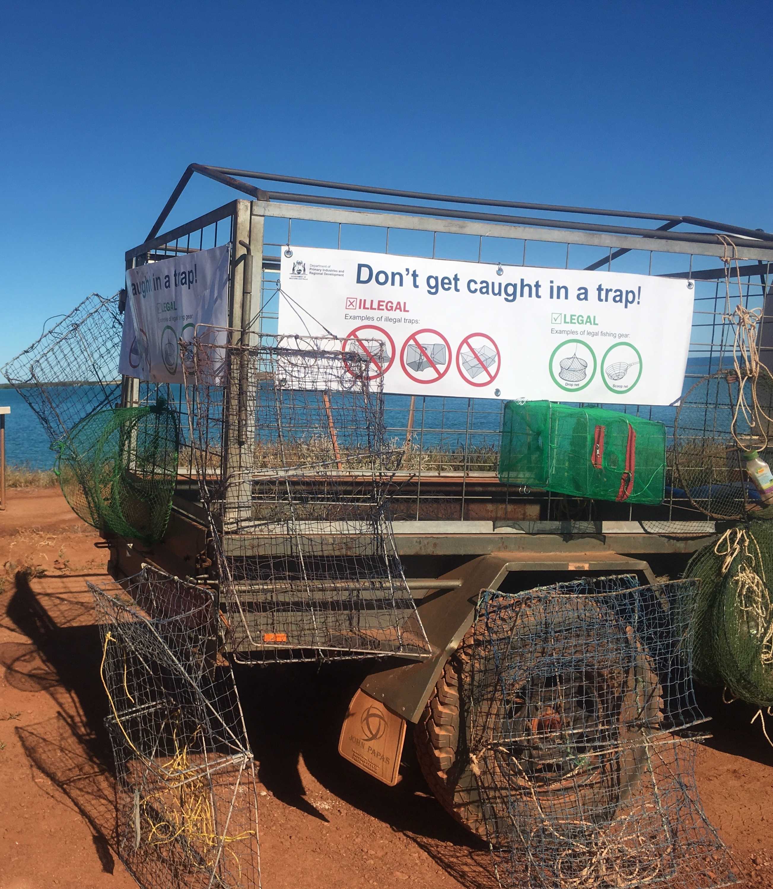 Illegal fish traps harm sea life - ABC Kimberley