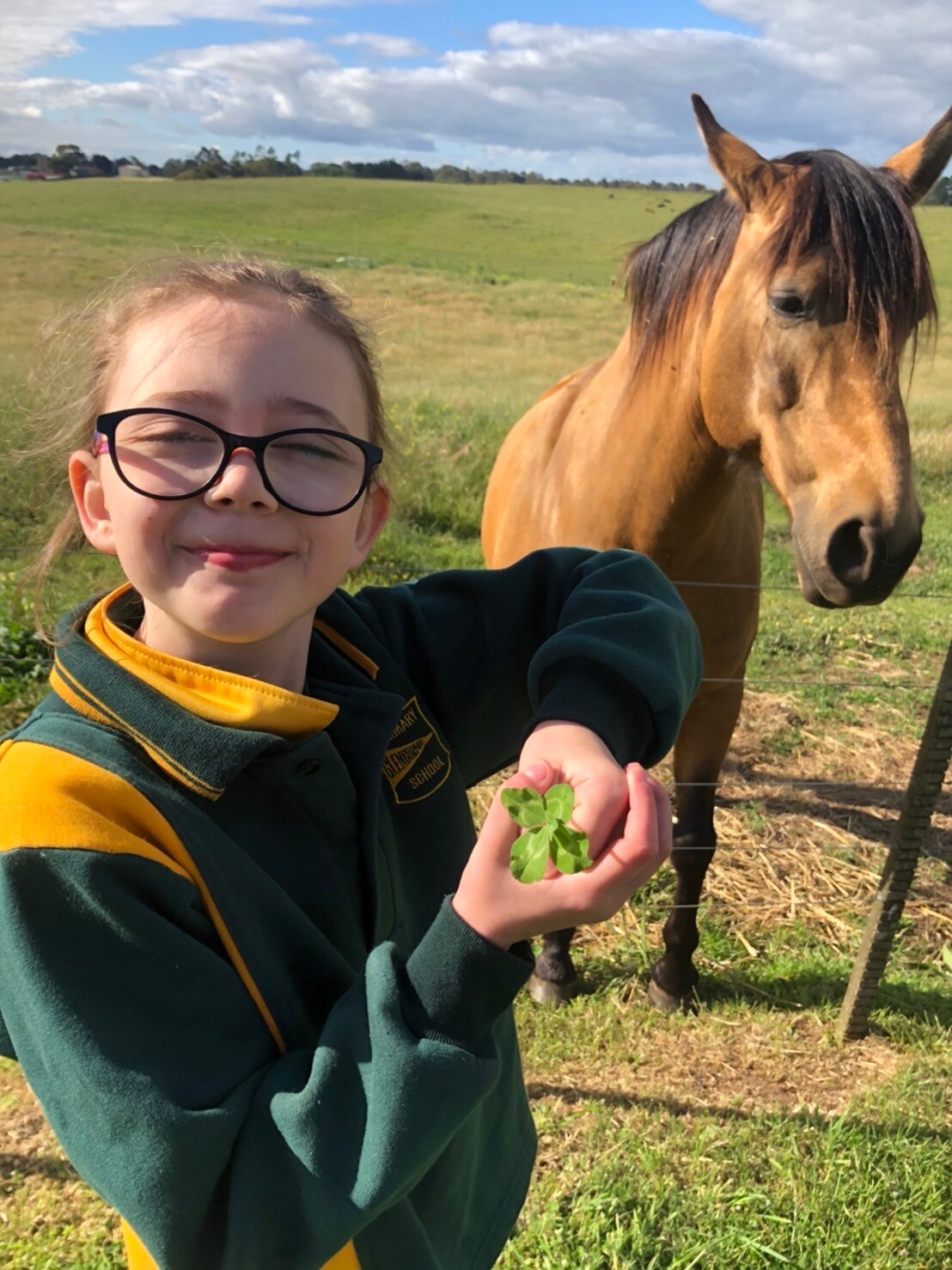 Some spend their lives looking for five-leaf clovers, the Matter family ...