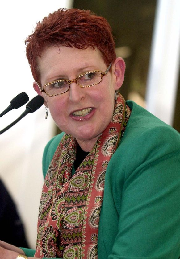 Mem Fox blasts childcare - ABC News