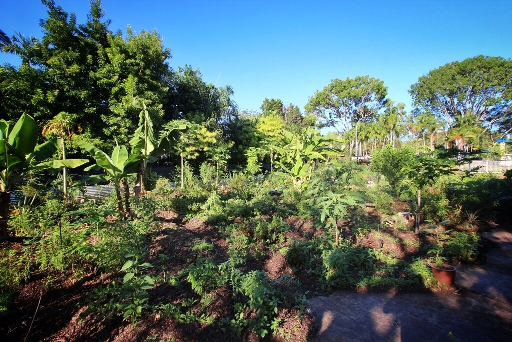 Darwin land identified for potential agricultural use - ABC News