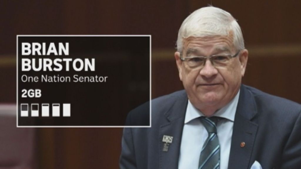 Brian Burston says he'll remain an independent senator, calls One ...