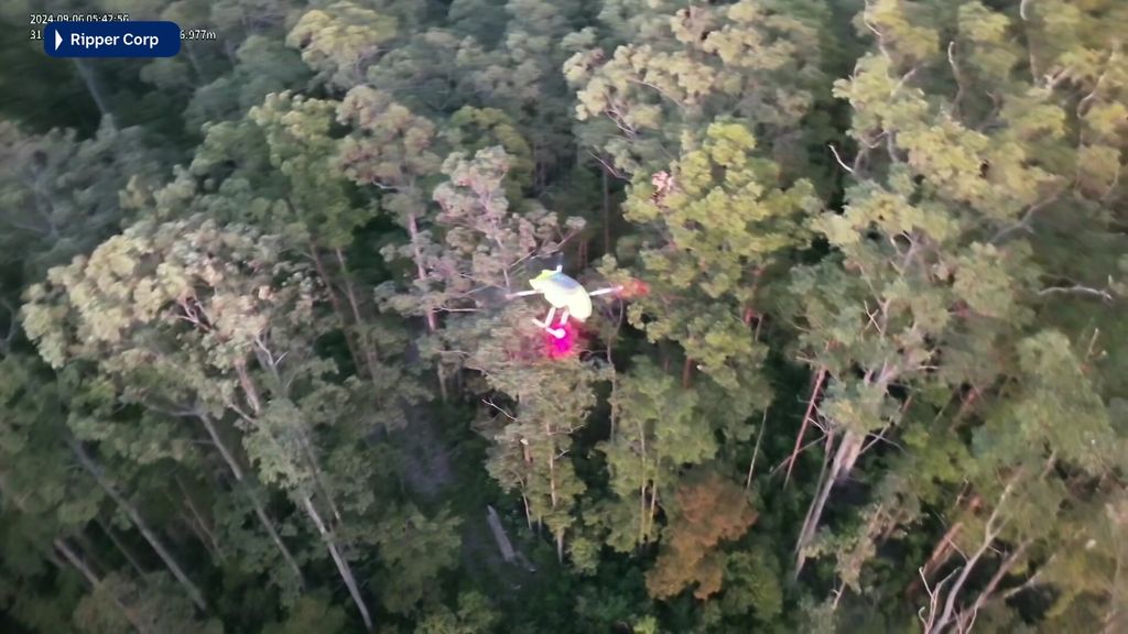 The drone vision was captured using optical cameras and spotlights ...