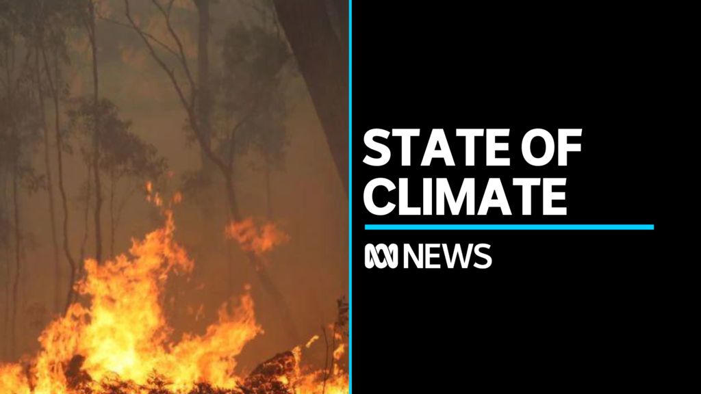 Investigations continue into science experiment gone wrong - ABC News