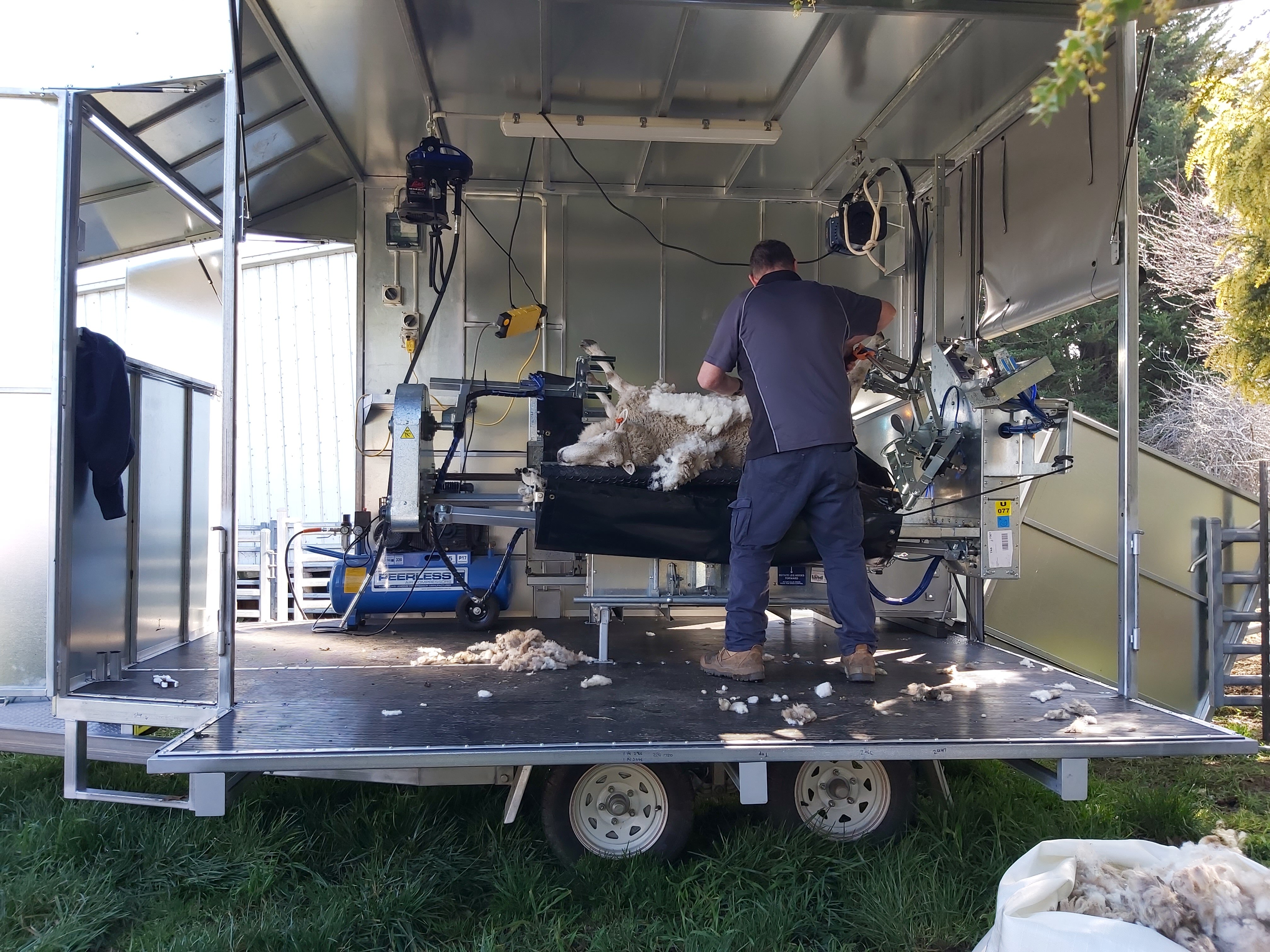 Shearers use mobile shearing platform to find solution to back-breaking ...