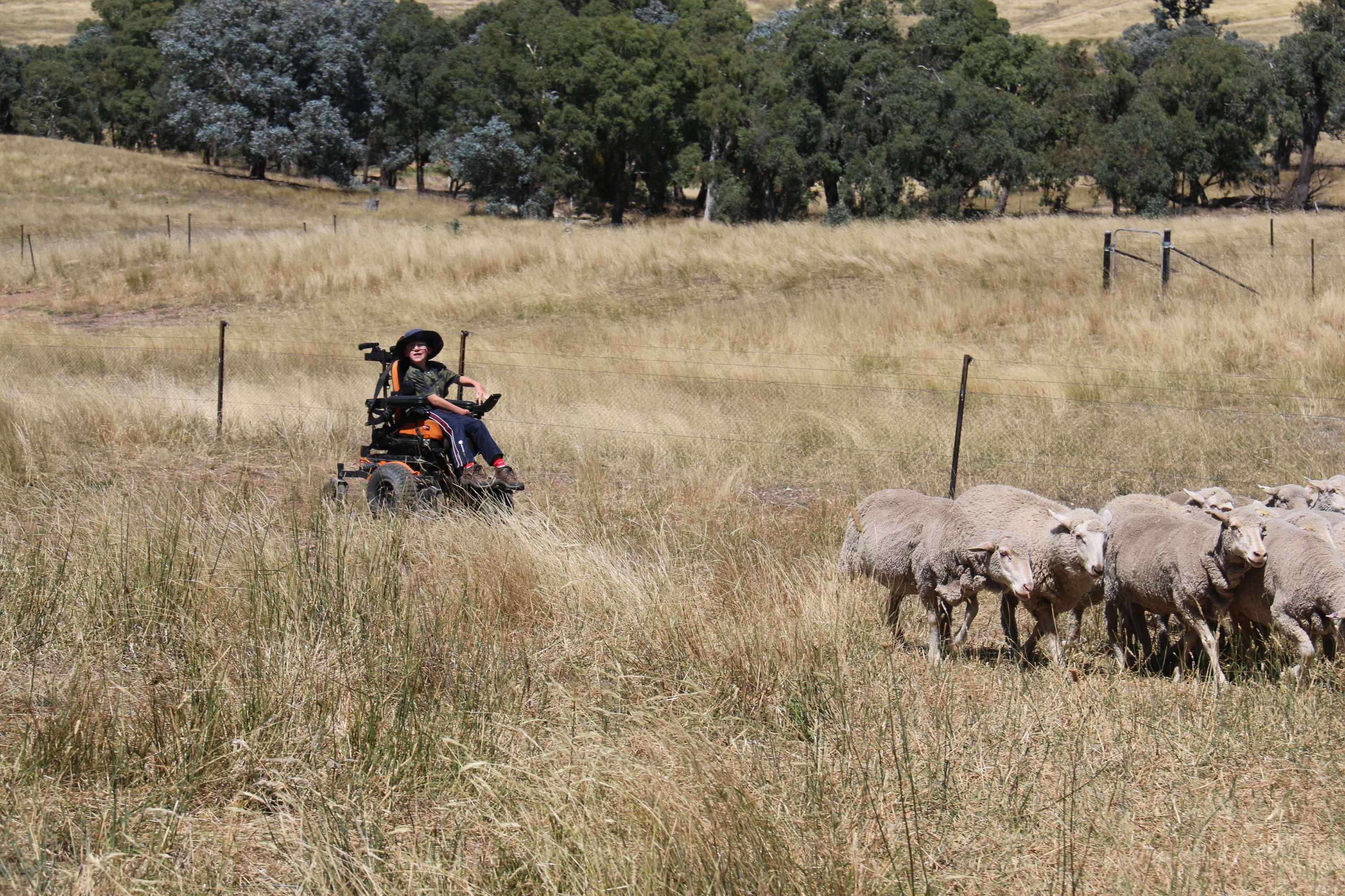 Yass boy with cerebral palsy inspiring others with his love of sheep ...