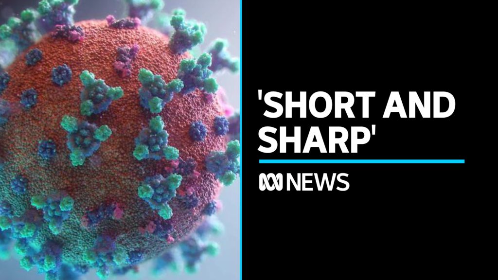 Masks mandated as COVID-19 cases rise - ABC News