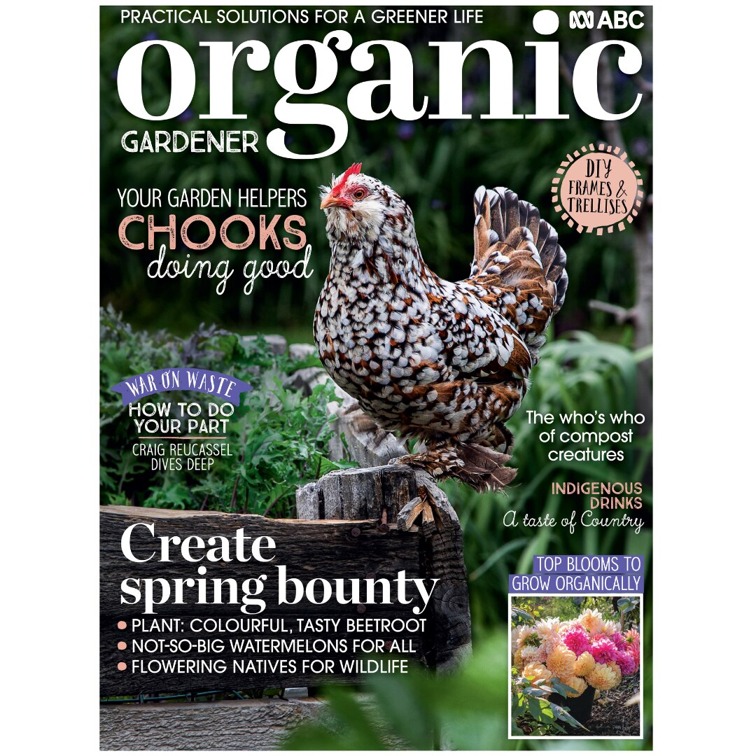 Magazines - ABC Shop