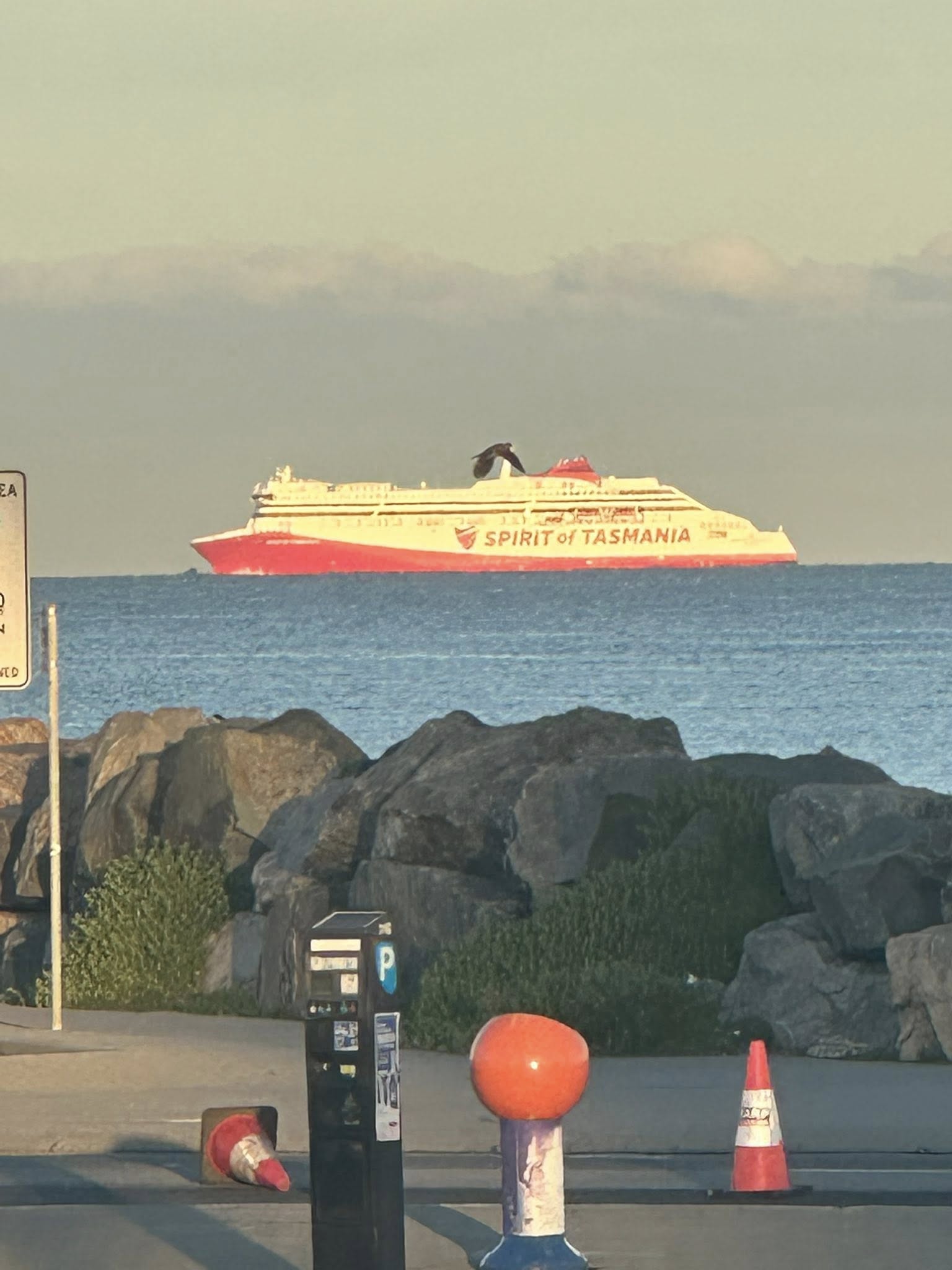 Spirit of Tasmania IV arrives in Western Australia | News Minimalist