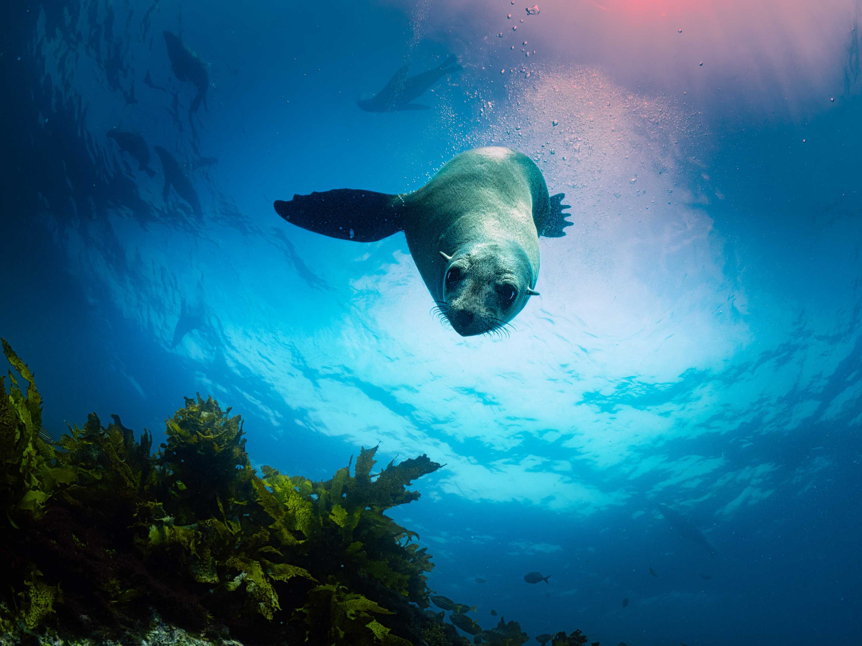 Factual & Culture: Pitch - TV Independent Production