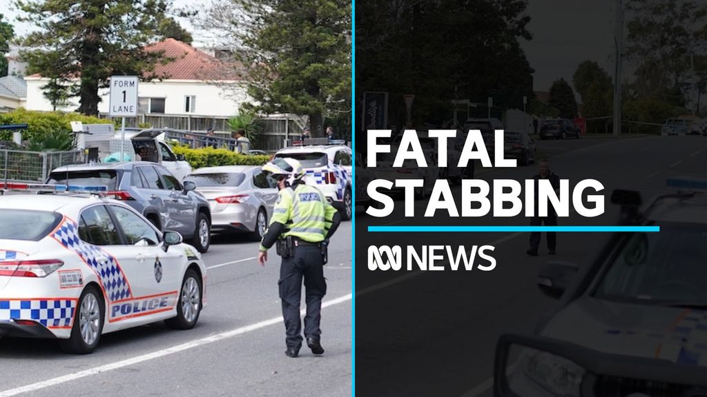 Manhunt underway after man is fatally stabbed in the road - ABC News