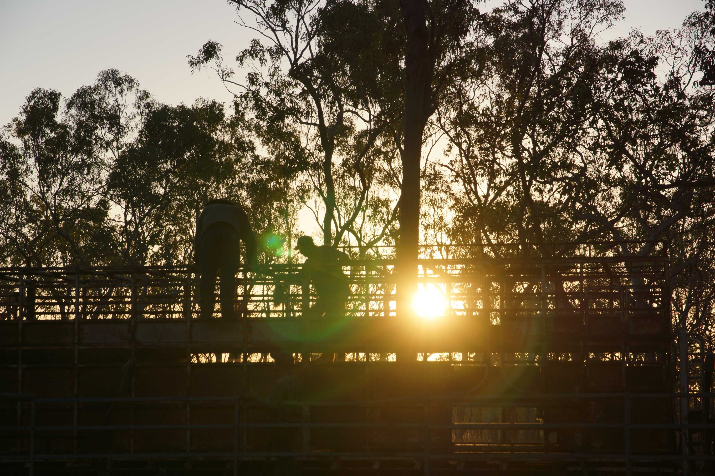 Seven Emu Station: NT bull catchers giving disadvantaged kids a second ...