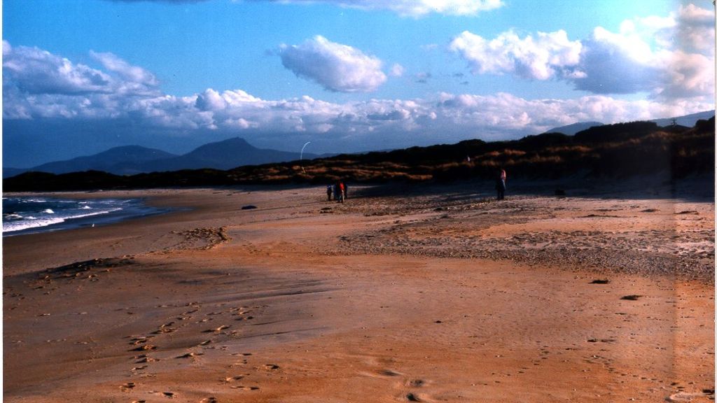 Fifty people visited the beach the day Victoria Cafasso was murdered ...