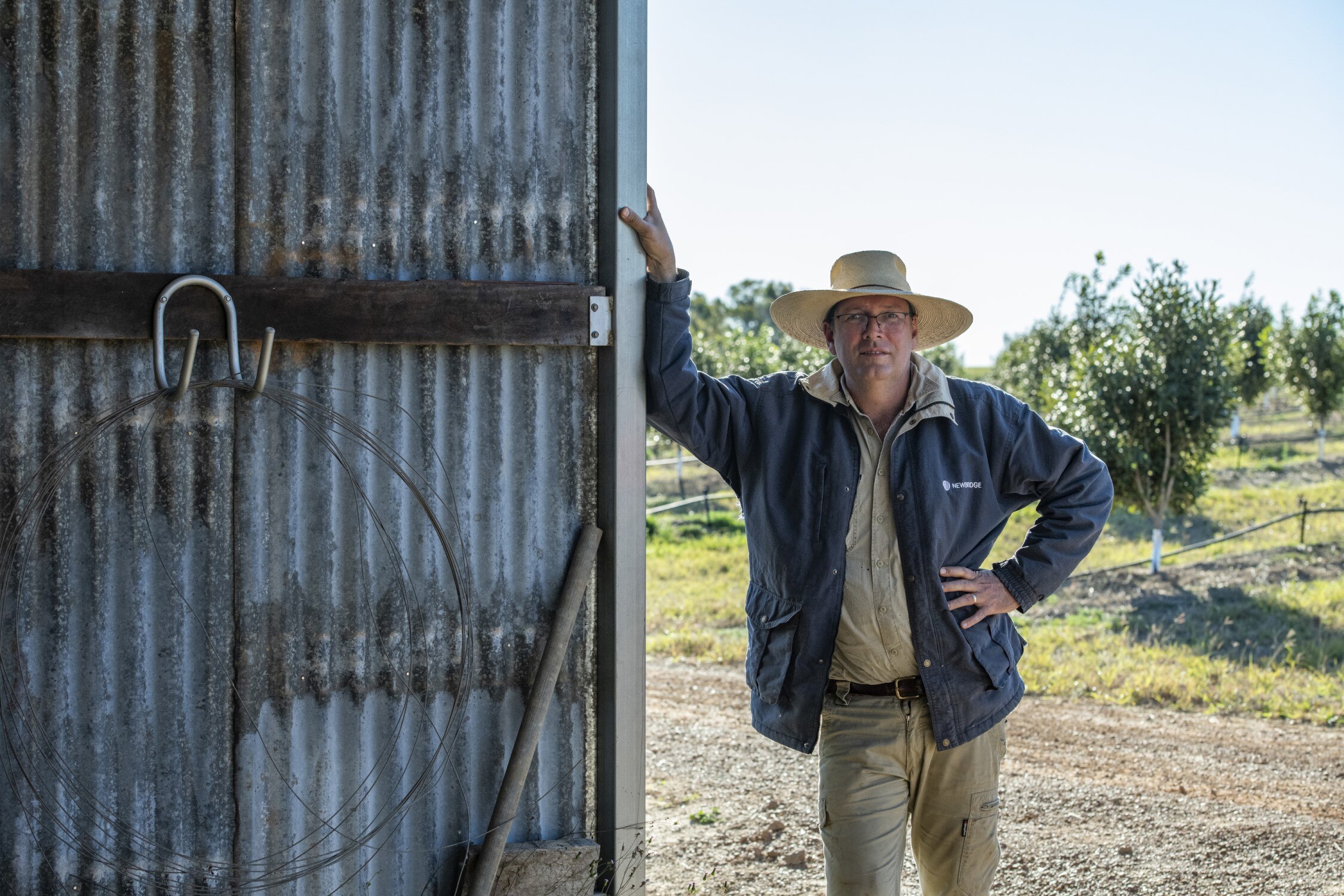 In The Shed: Peter Anderson - ABC listen