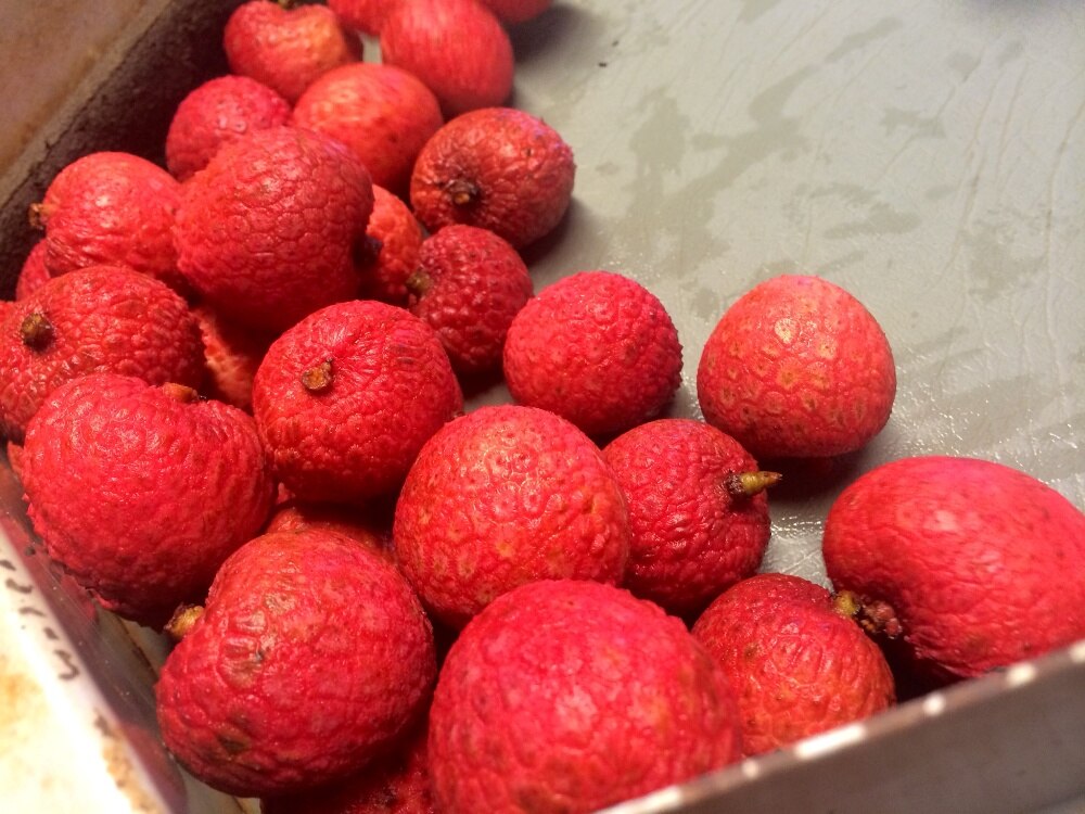 Sweet pickings for Central Queensland tropical fruit farmer as lychee ...