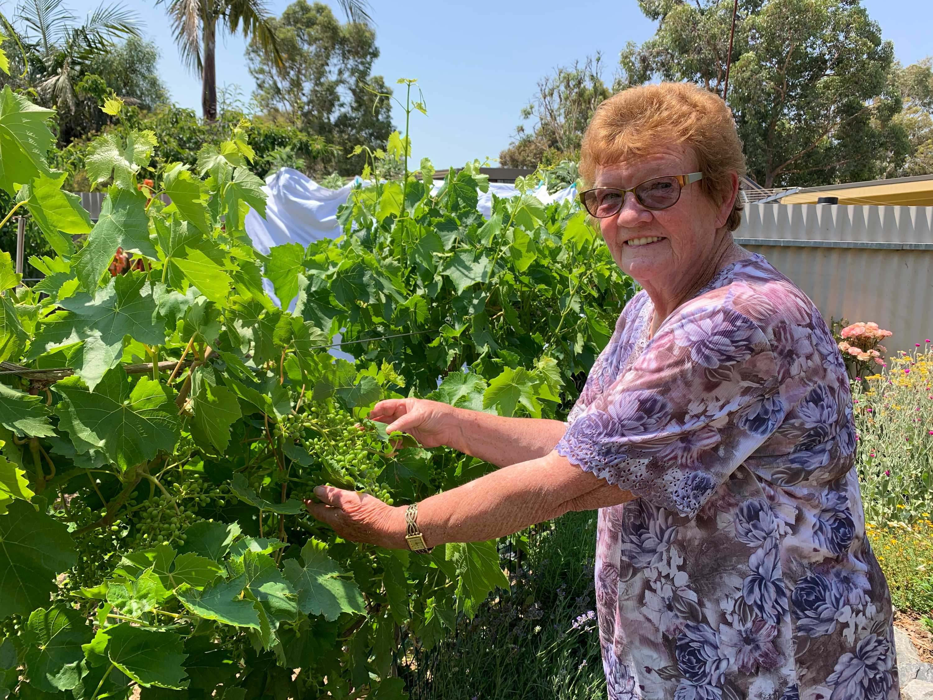 Are you one of the 'everyday Australians' politicians refer to? - ABC News