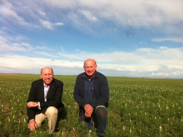 WA farm support package could be revised - ABC News