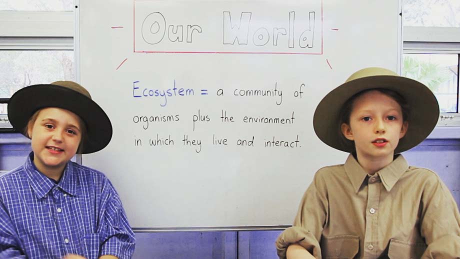 The Human Child - Behind The News