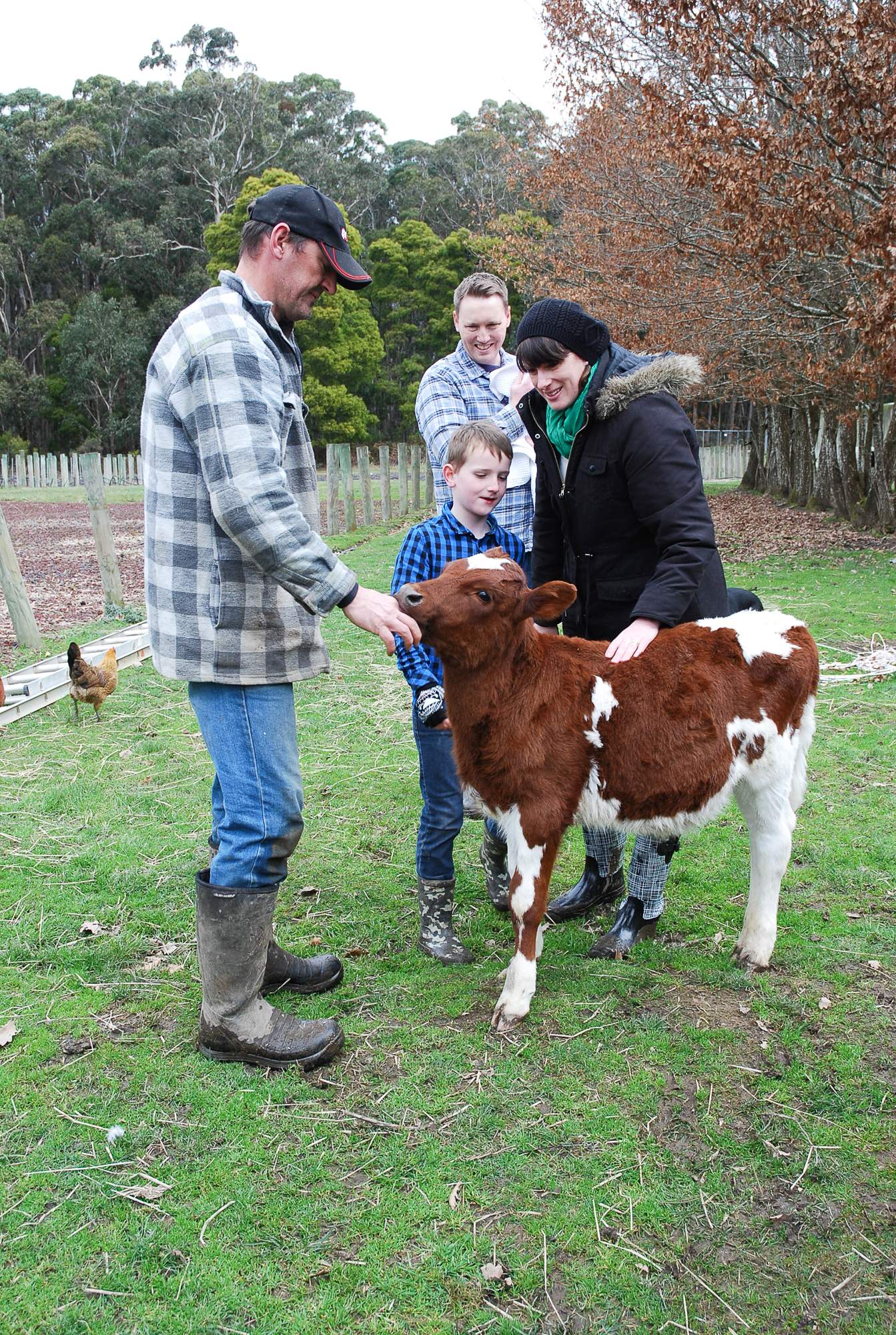 This Farm Needs a Farmer: Connecting novice tree changers with ...