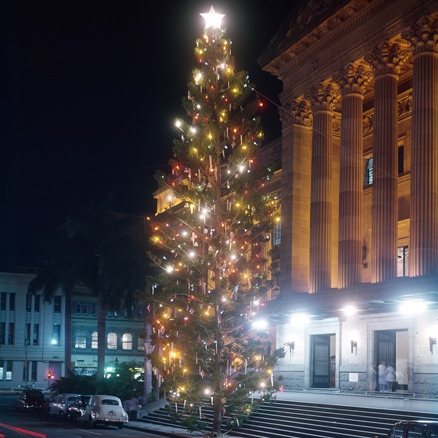 In photos: Brisbane's ever-changing Christmas tree continues to draw ...