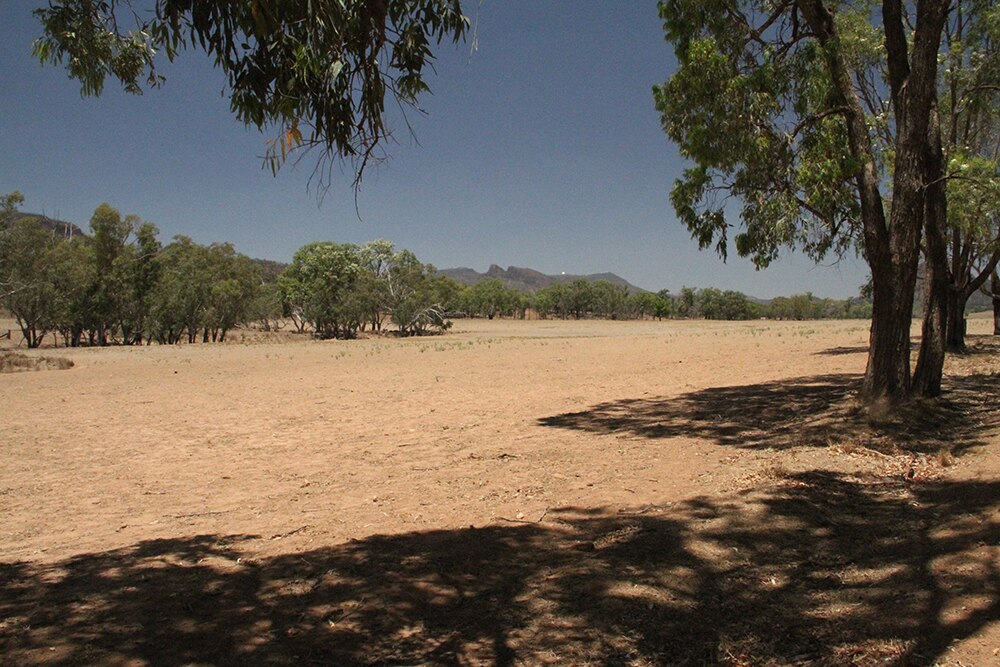 Coonabarabran - from fire to drought - ABC News