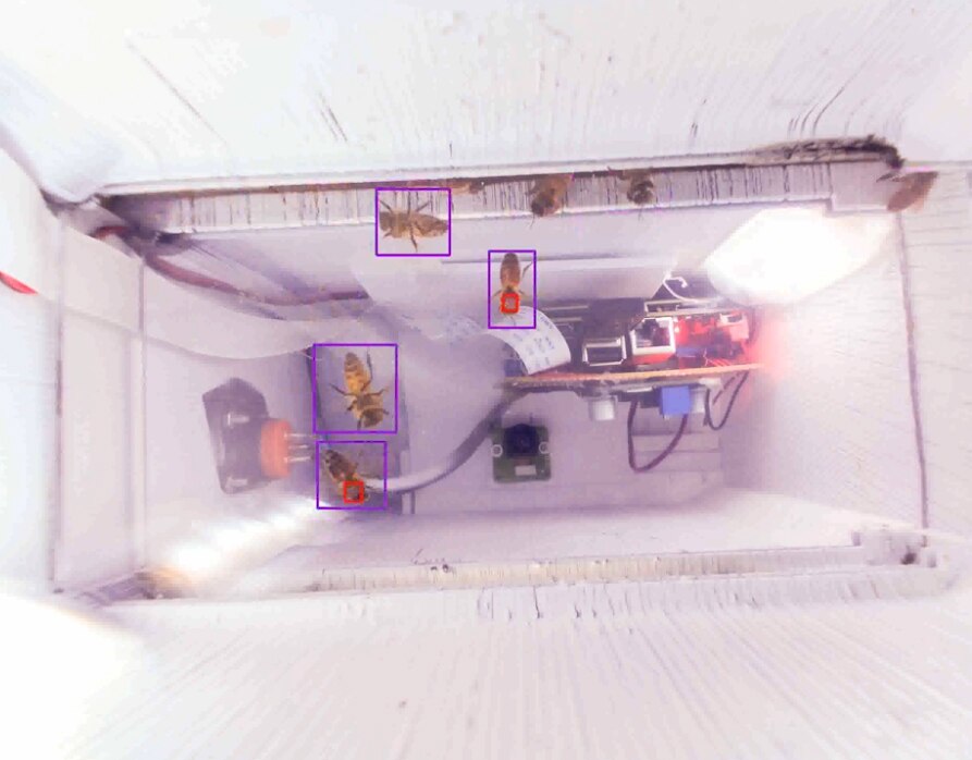 Engineers brought together by Mars are now using technology to save ...