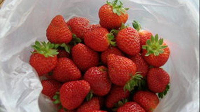 Fancy Eton Mess - ABC Everyday