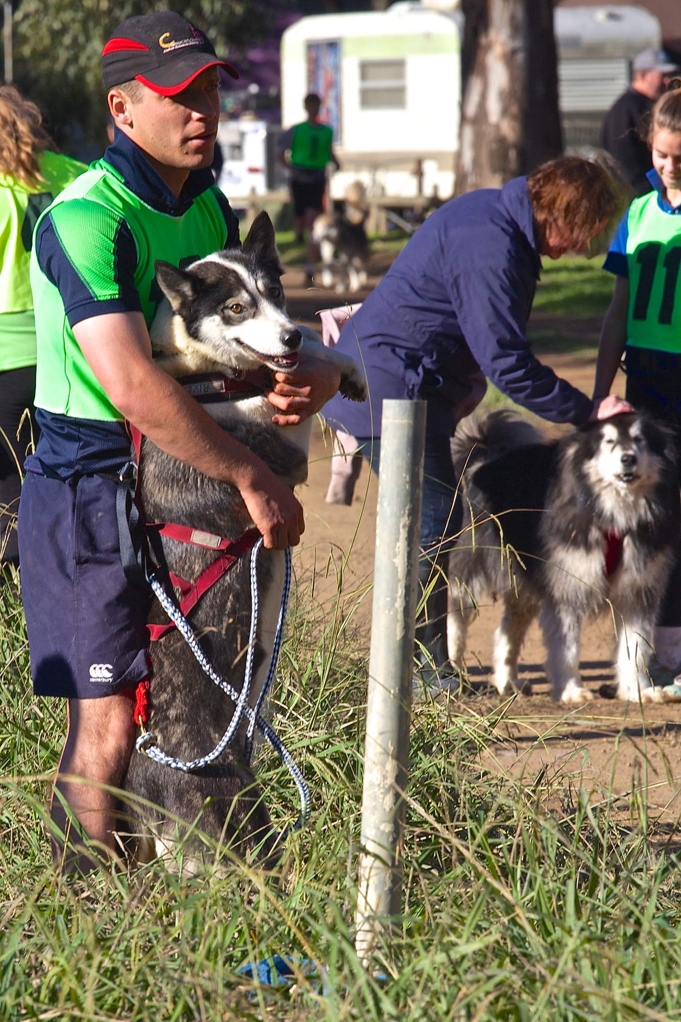 Run, dog, run! - ABC listen