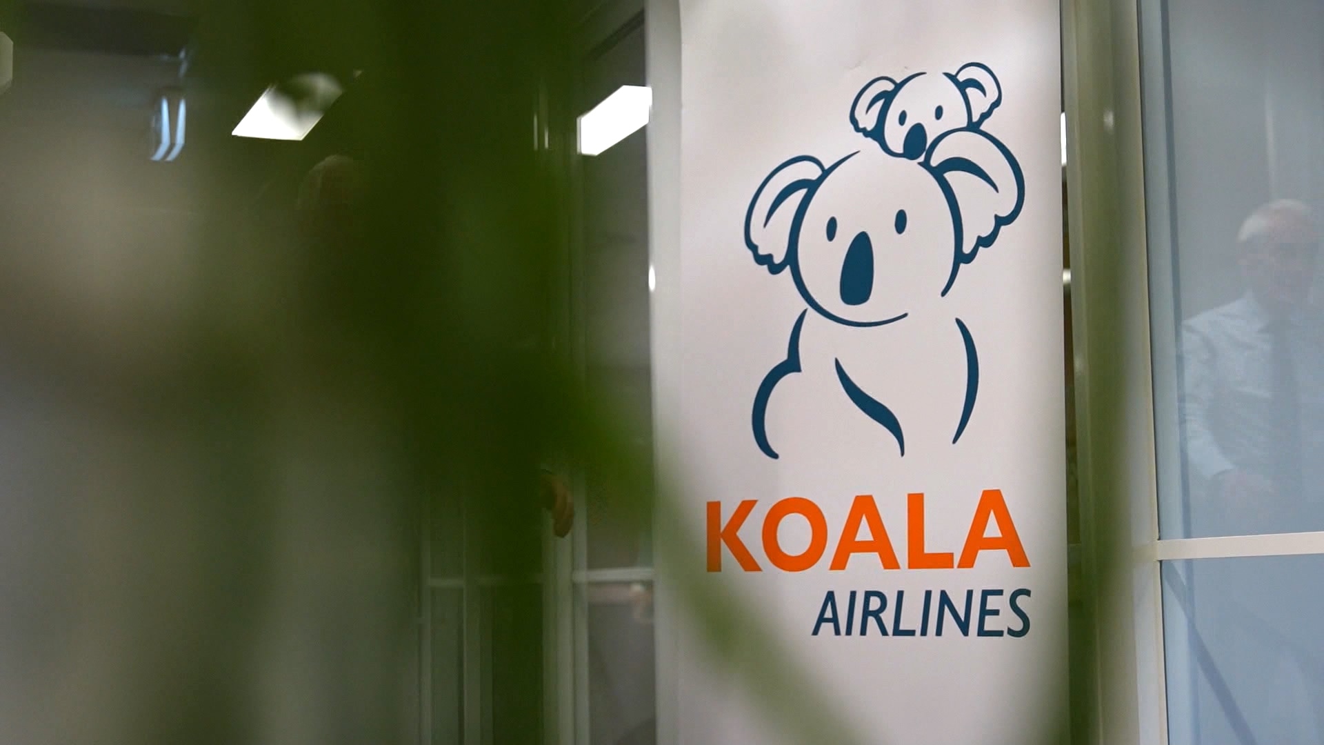 Koala Airlines tight-lipped on how it will take on the Qantas, Virgin ...