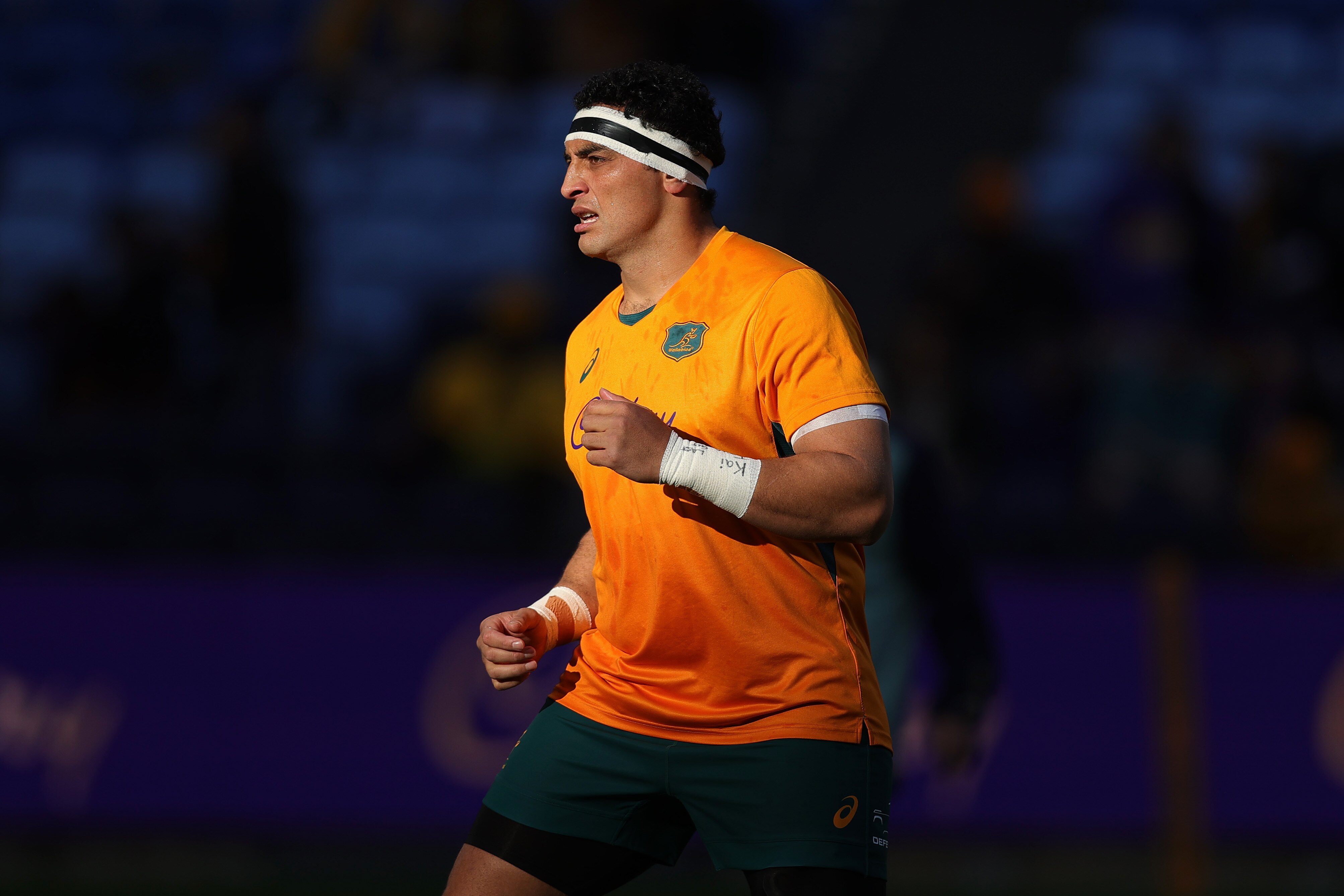 Ex-All Black Hodgman presses claim to face Lions as Wallabies skipper ...