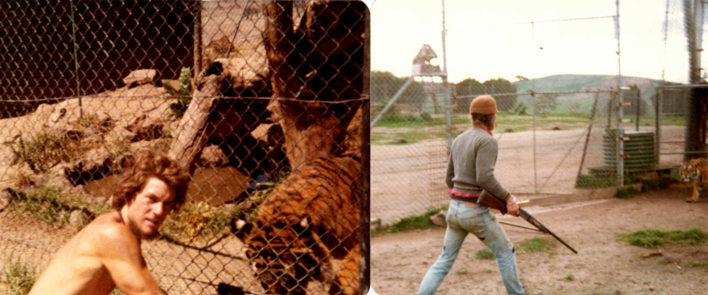 The Tiger King of Bacchus Marsh and the years of living dangerously ...