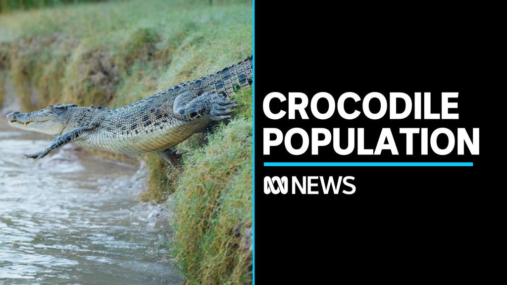 Researchers map crocodile spread with genetic testing - ABC News