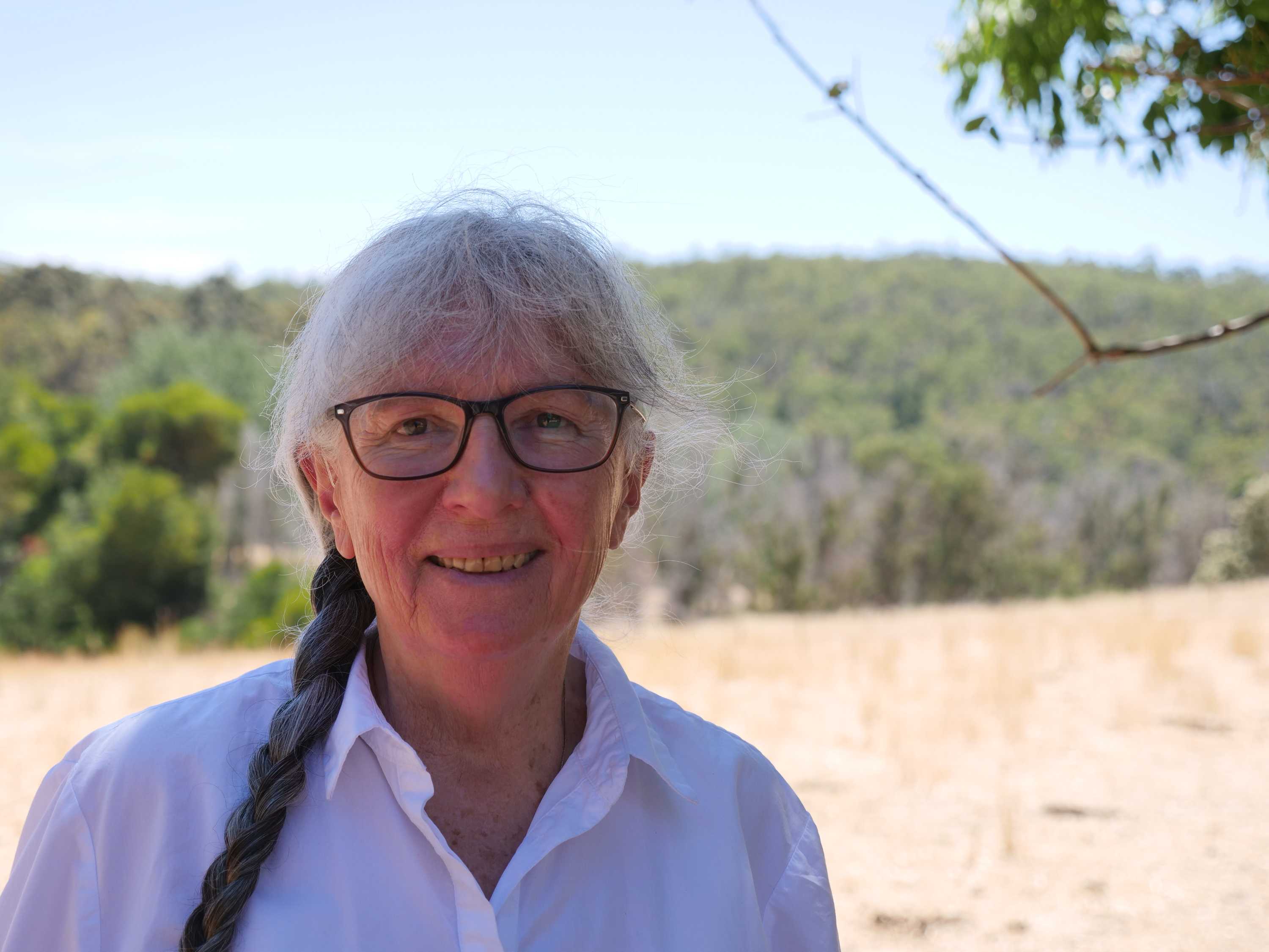 Landowners and loggers say 'eco-thinning' can save WA's native forests ...