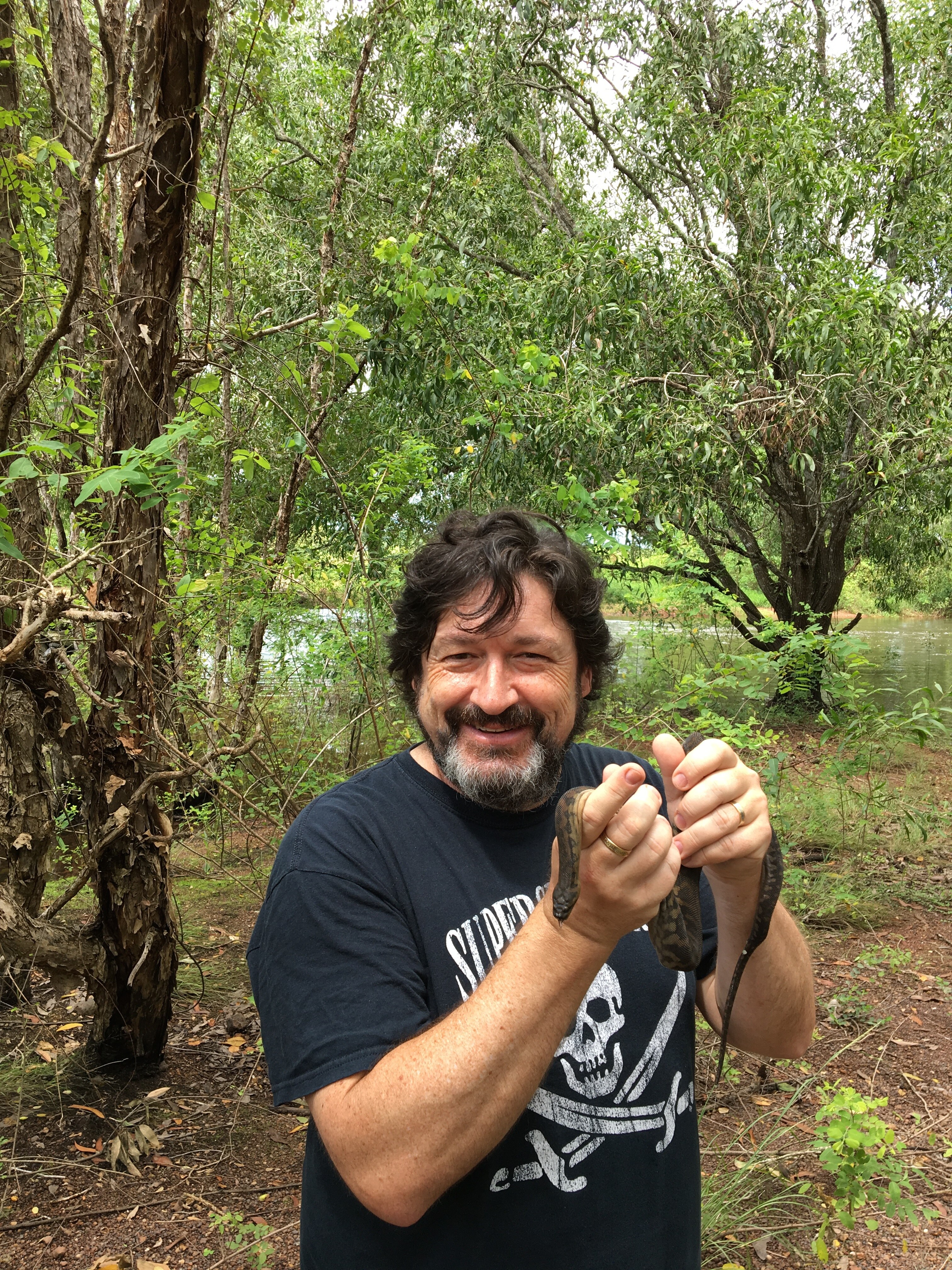 Cases of snake bites rise in NSW, with warmer weather and urbanisation ...